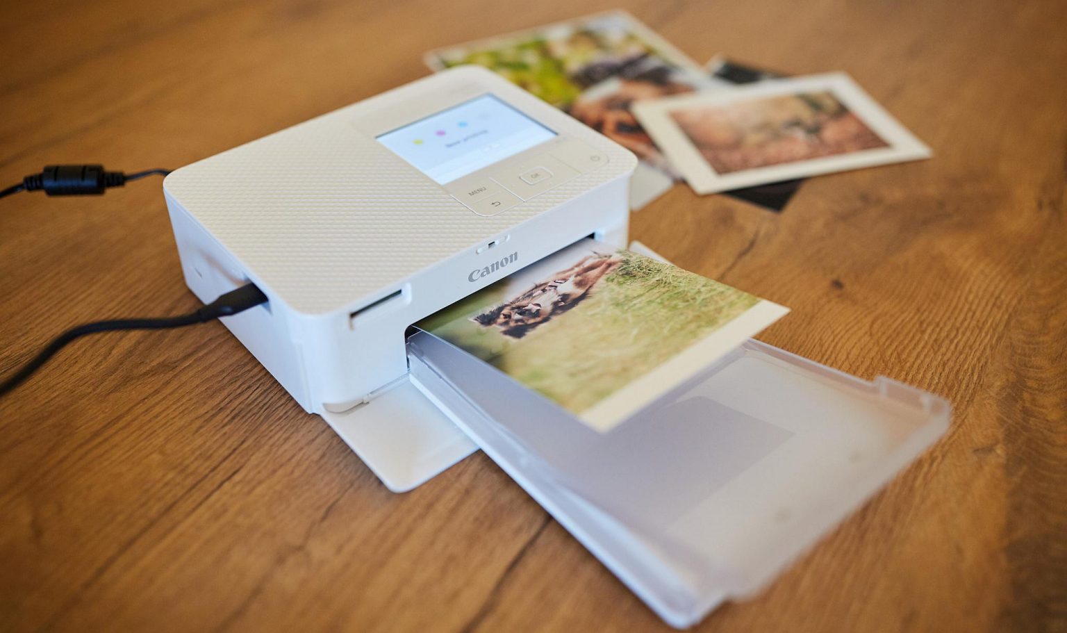 canon selphy cp1500 drukarka termosublimacyjna - Lepsza fotografia ...