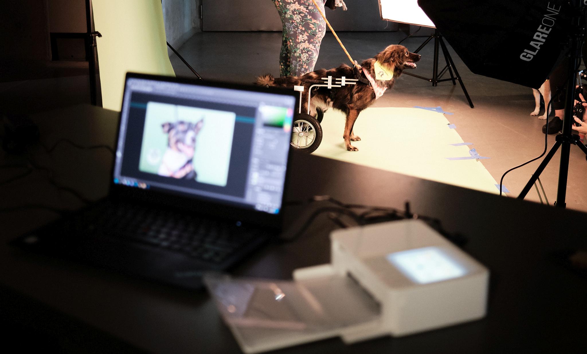 Canon Selphy CP1500 - przenośna drukarka dla profesjonalistów i nie ...