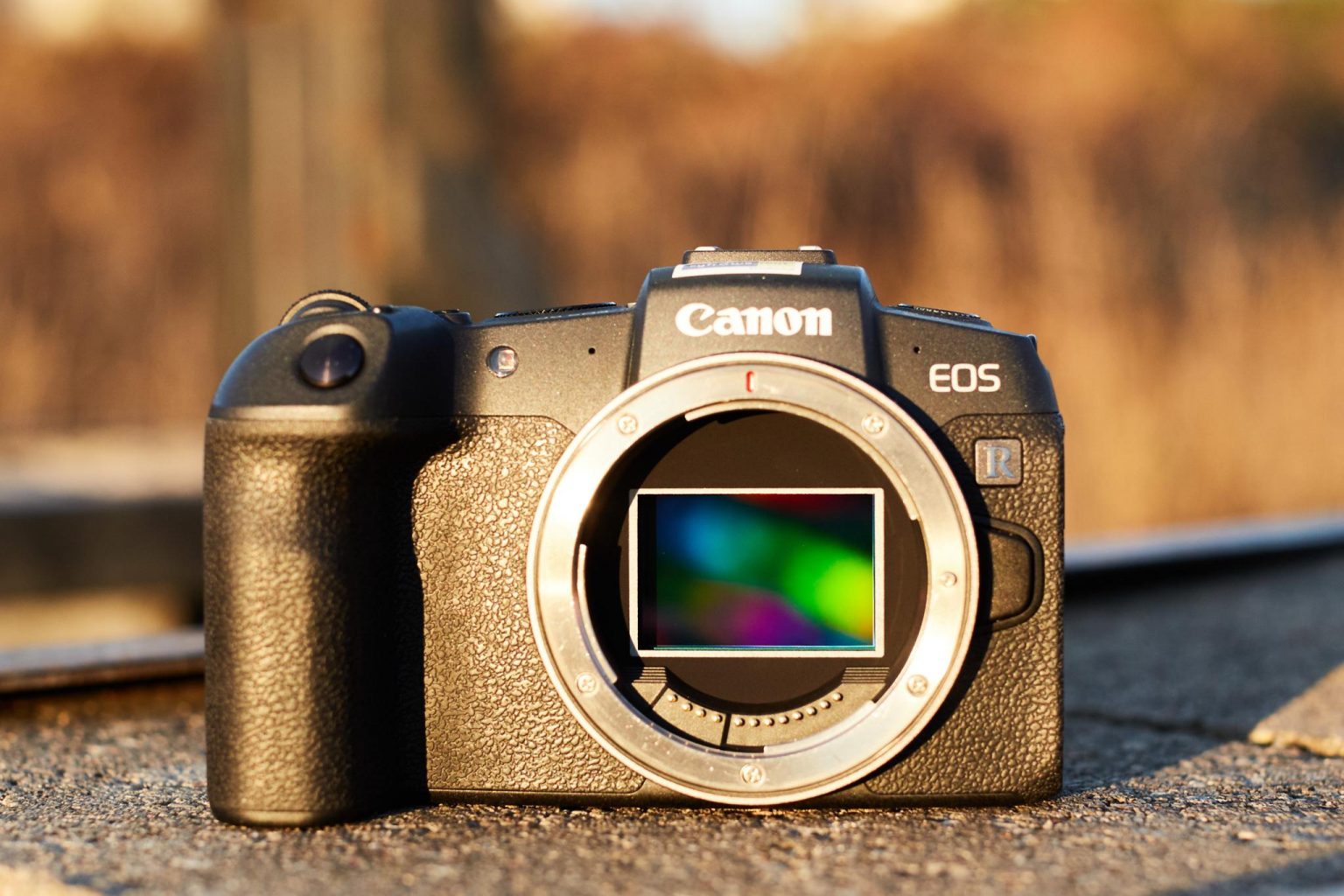 Aparat dla ambitnego amatora. Canon R10 vs Canon RP - Lepsza fotografia ...