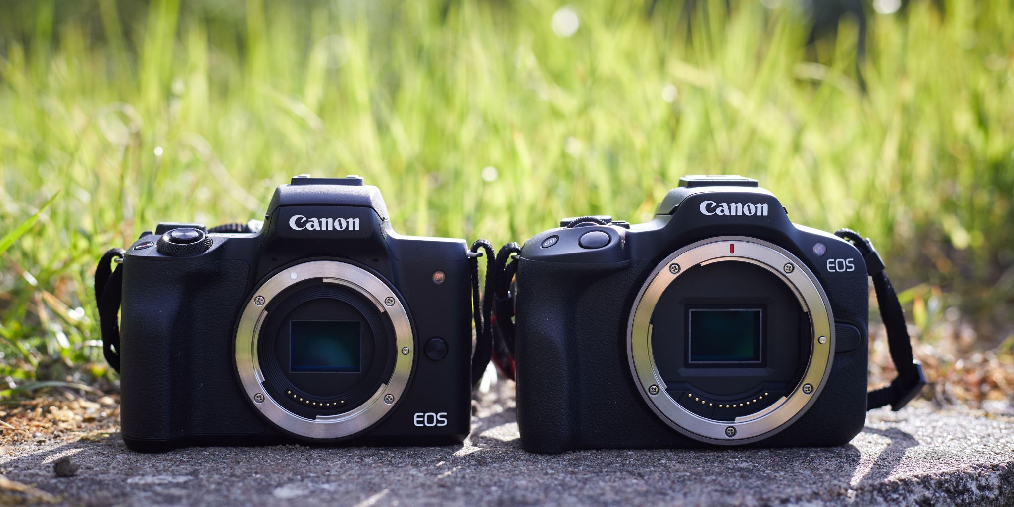 Najlepszy budżetowy aparat? Canon R50 vs Canon M50 II (kod rabatowy w ...