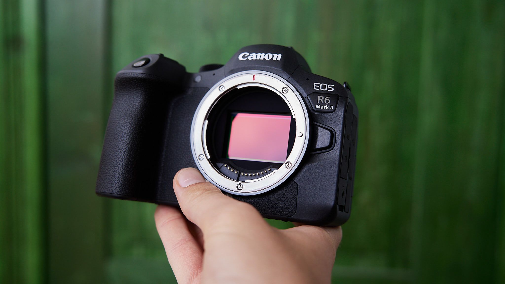 Canon_R6_vs_R6II_9109 - Lepsza fotografia lepszy film